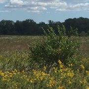 MIDEWIN NATIONAL TALLGRASS PRAIRIE - 29 Photos & 16 Reviews - 30239 S ...