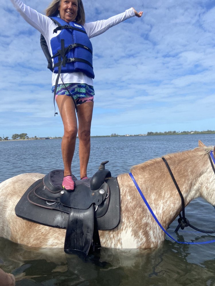 THE REAL BEACHHORSES - 82 Photos & 25 Reviews - 8400 Manatee Ave W ...