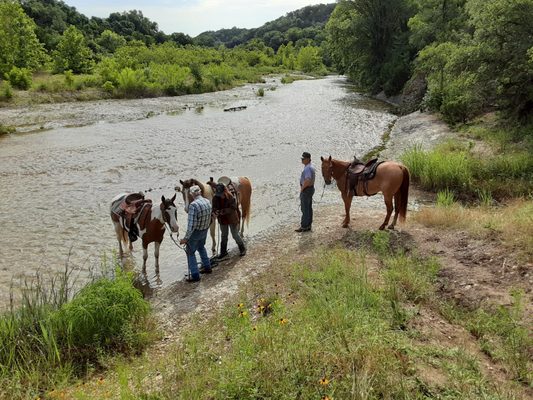 GAREY PARK 【56 Photos & 33 Reviews】 6450 RM 2243, Georgetown, Texas ...