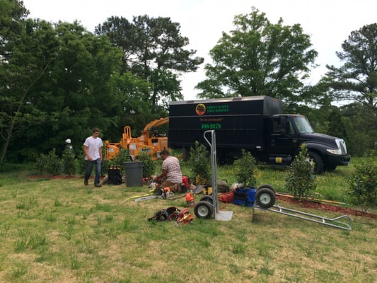 GREAT SCOTT TREE SERVICE - Updated January 2025 - 28 Photos & 31 ...