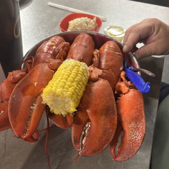 DEWY DEW BUGZ - Updated December 2025 - 40 Photos & 59 Reviews - 9419 ...