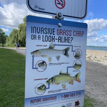 CHARLES DALEY PARK - Updated December 2025 - 1969 N Service Rd, Lincoln ...