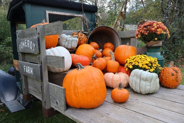 POMEROY FARM - Updated December 2025 - 42 Photos & 14 Reviews - 20902 ...