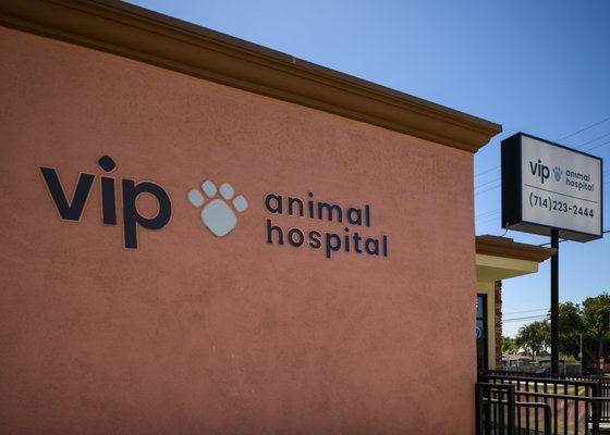 VIP ANIMAL HOSPITAL - Updated January 2026 - 185 Photos & 363 Reviews ...