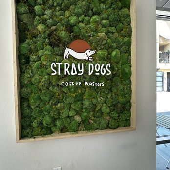 STRAY DOGS COFFEE ROASTERS - Updated December 2025 - 358 Photos & 191 ...