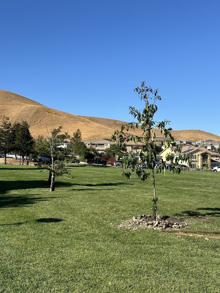 LARRY LASATER PARK - Updated September 2025 - San Teresa Dr, Pittsburg ...