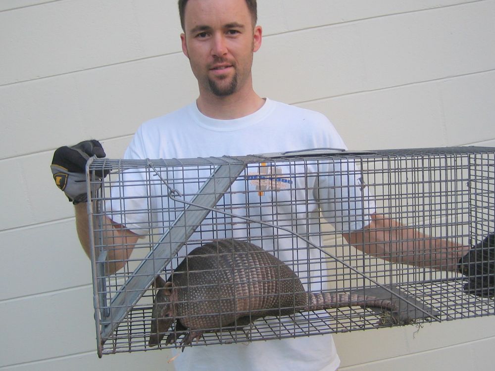 WILDLIFE EXTERMINATOR BIRMINGHAM - Updated April 2024 - 22 Photos - 500 ...