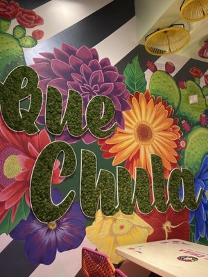 QUE CHULA - 81 Photos & 75 Reviews - 140 W Franklin St, Chapel Hill, NC ...