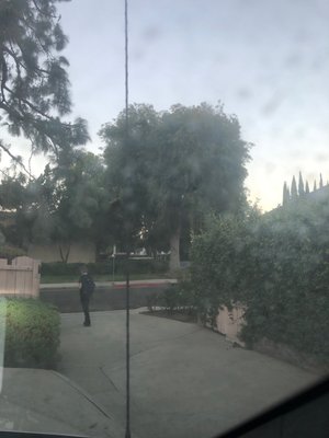 LOUIS ARMSTRONG MIDDLE SCHOOL - Updated January 2026 - 18 Photos & 47 ...