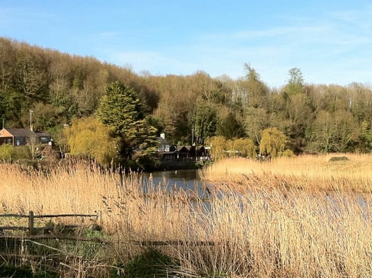 THE BLACK RABBIT - HALL & WOODHOUSE - Updated September 2025 - 20 ...