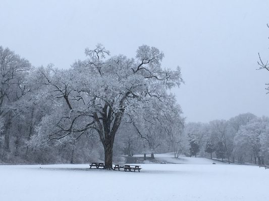 BEAVER BROOK RESERVATION - Updated May 2024 - 59 Photos & 46 Reviews ...