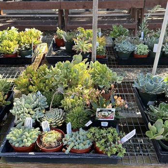 ALDEN LANE NURSERY - Updated December 2025 - 430 Photos & 234 Reviews ...