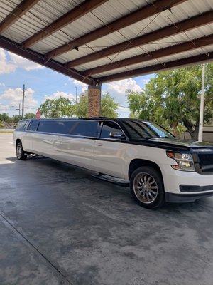 AMBER LIMOUSINE - Updated December 2025 - 13 Photos - 8270 Woodland ...