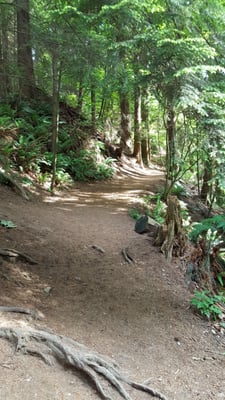 MAHON PARK - Updated December 2025 - 1648 Jones Avenue, North Vancouver ...