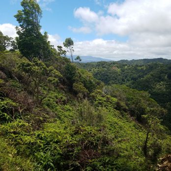 AIEA LOOP TRAIL - Updated June 2024 - 1348 Photos & 305 Reviews - 99 ...