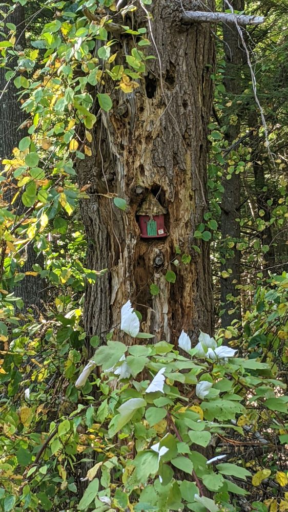 MACHIMOODUS STATE PARK - Updated October 2024 - 15 Photos - 128 ...