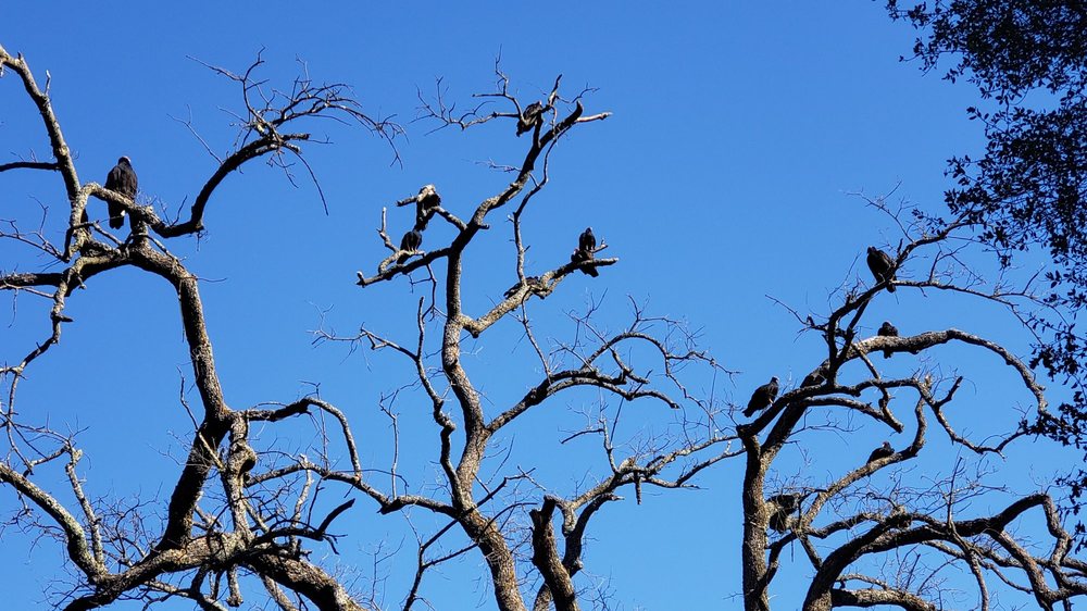 TRAYLOR RANCH NATURE RESERVE AND BIRD SANCTUARY - Updated January 2025 ...