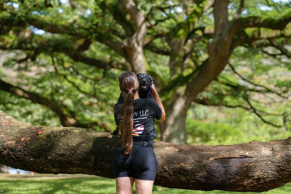 KAULIKE K9 - Updated December 2025 - 131 Photos - Ewa Beach, Hawaii ...