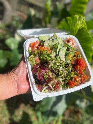 ALOHA CONES - Updated May 2024 - 853 Photos & 542 Reviews - 1339 N ...