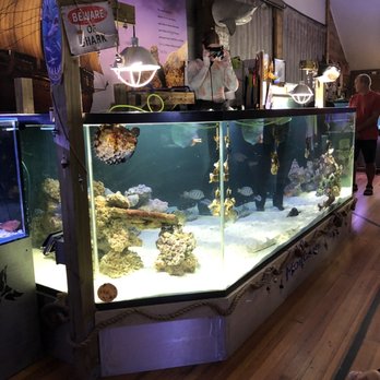 AQUARIUM & SHARK LAB BY TEAM ECCO - Updated October 2025 - 66 Photos ...