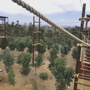 UC SAN DIEGO CHALLENGE COURSE - 13 Photos - 9500 Gillman Dr, La Jolla ...