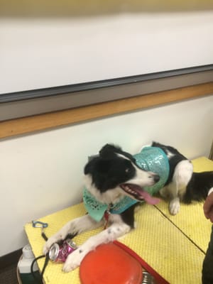 SANDY LIBRARY - Updated December 2025 - 36 Photos & 12 Reviews - 10100 ...