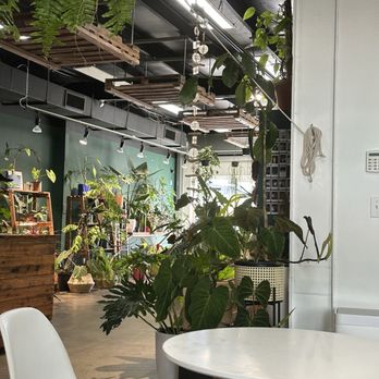 PLANTOEM - Updated June 2024 - 462 Photos & 98 Reviews - 3457 Waialae ...