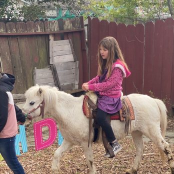 PONYLANDIA PONY RIDES - Updated October 2025 - 165 Photos & 24 Reviews ...