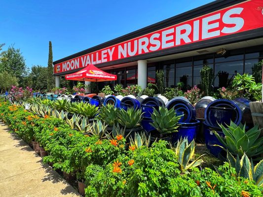 MOON VALLEY NURSERIES - Updated December 2025 - 317 Photos & 104 Reviews - 11222 Katy Fwy ...
