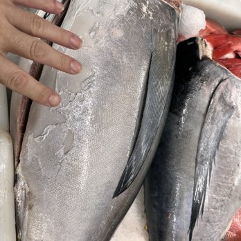 J DELUCA FISH COMPANY - Updated December 2025 - 56 Photos & 17 Reviews ...