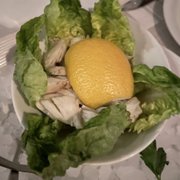 ELIA MEDITERRANEAN RESTAURANT - 1351 Photos & 556 Reviews - 240 ...