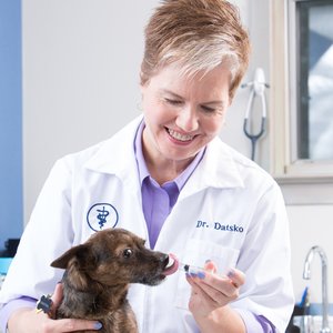 HUMANE LEAGUE OF LANCASTER COUNTY - Updated June 2025 - 12 Reviews ...