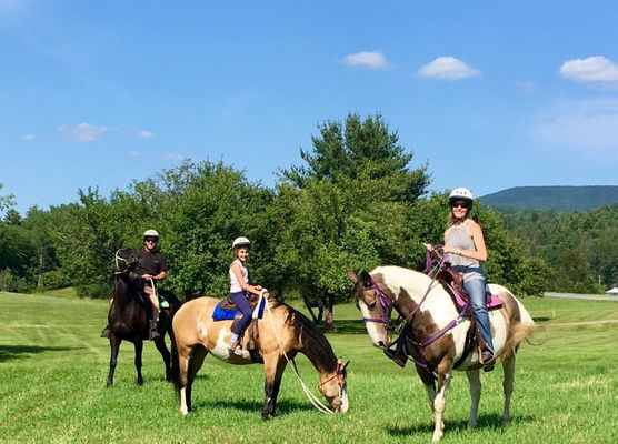 D-N-D STABLES GUIDED TRAIL RIDES - Updated July 2024 - 34 Photos & 13 ...