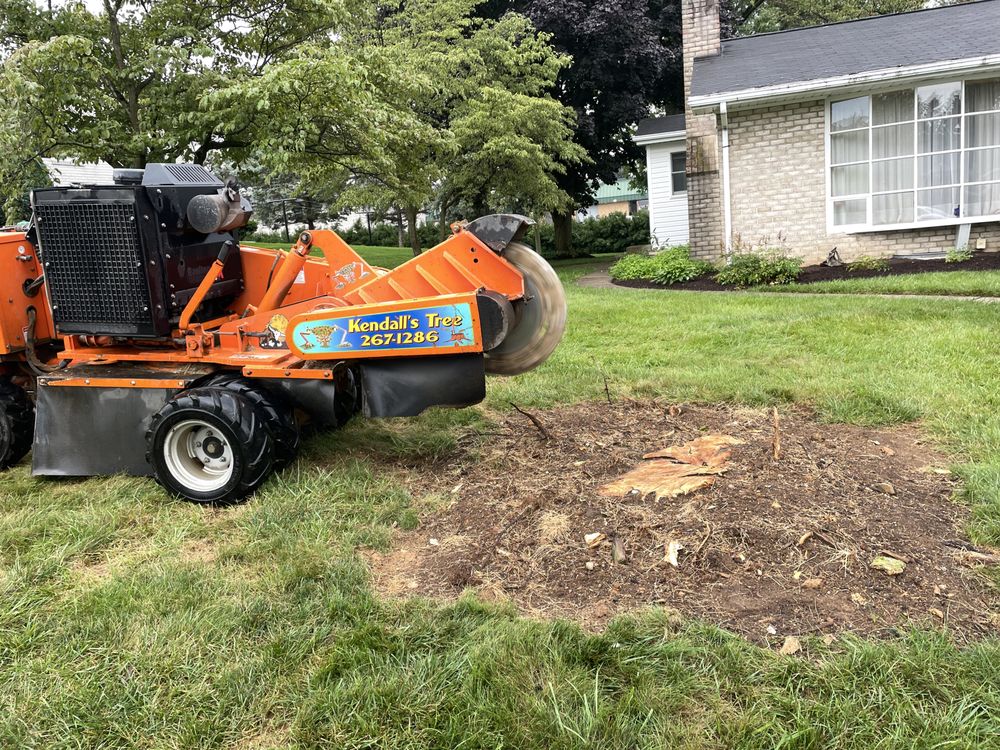 KENDALL’S TREE SERVICE - Updated July 2025 - 112 W King St ...