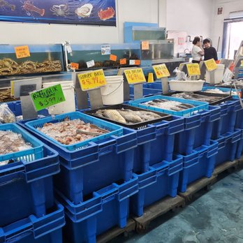 USA DAILY LIVE SEAFOOD MARKET - Updated December 2025 - 219 Photos ...