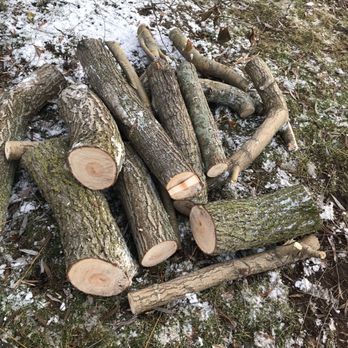 KAPPEN TREE SERVICE - Updated December 2025 - 11 Reviews - 2675 Hurds ...