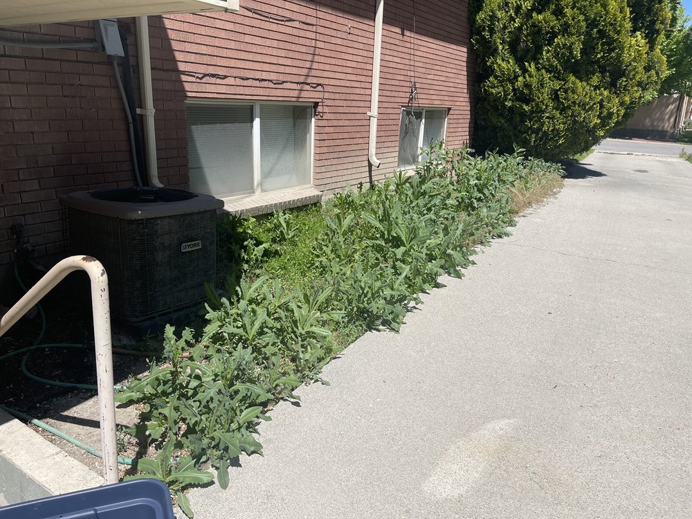 NEXT LEVEL RECOVERY - Updated August 2025 - 16 Photos - 6771 S 900 E ...