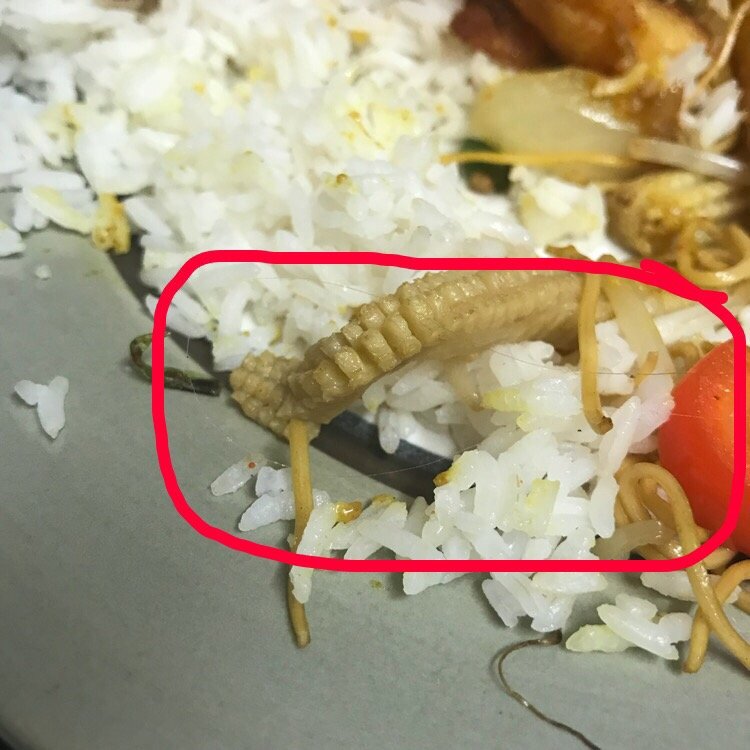 CANTON CHEF - Updated December 2024 - 73 High Street, Rugby ...