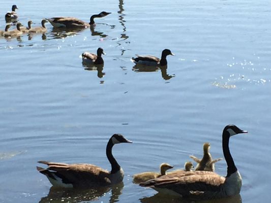 WINDMILL FARM MARKET - Updated January 2026 - 25 Photos - 1454 E State ...