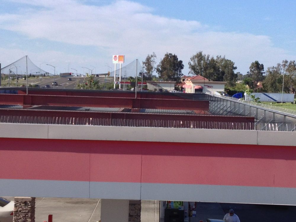 ANTECH WILDLIFE MANAGEMENT - 14 Photos - Wildlife Control - 268 Garden ...