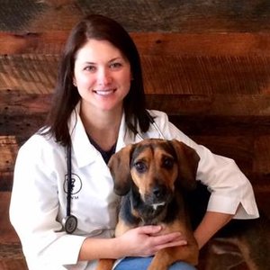 VEG ER FOR PETS - Updated December 2025 - 10 Photos - 3157 Ann Arbor ...