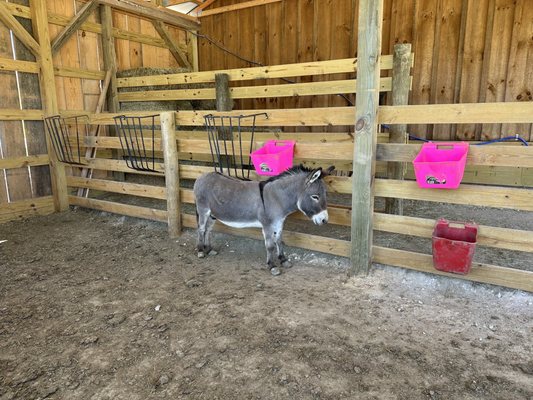 FOX’S HIGH ROCK FARM - Updated July 2025 - 10 Photos - 14977 State Rte ...