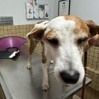 MERCY FULL PROJECT - Updated November 2025 - 31 Photos & 26 Reviews ...