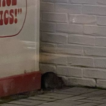 PARSON’S CHICKEN & FISH - LOGAN SQUARE - Updated January 2025 - 1191 ...