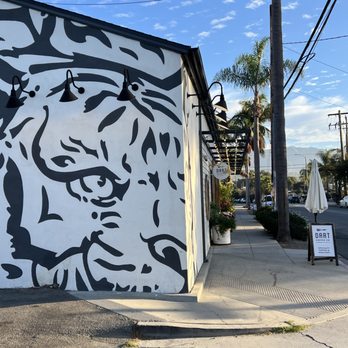 DART COFFEE CO - Updated November 2024 - 582 Photos & 294 Reviews - 121 ...