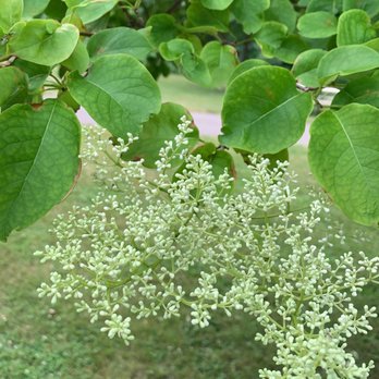 KNIGHT POINT STATE PARK - Updated December 2025 - 21 Photos - 44 ...