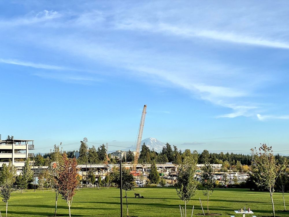 TOWN SQUARE PARK - Updated September 2025 - 30 Photos & 11 Reviews ...