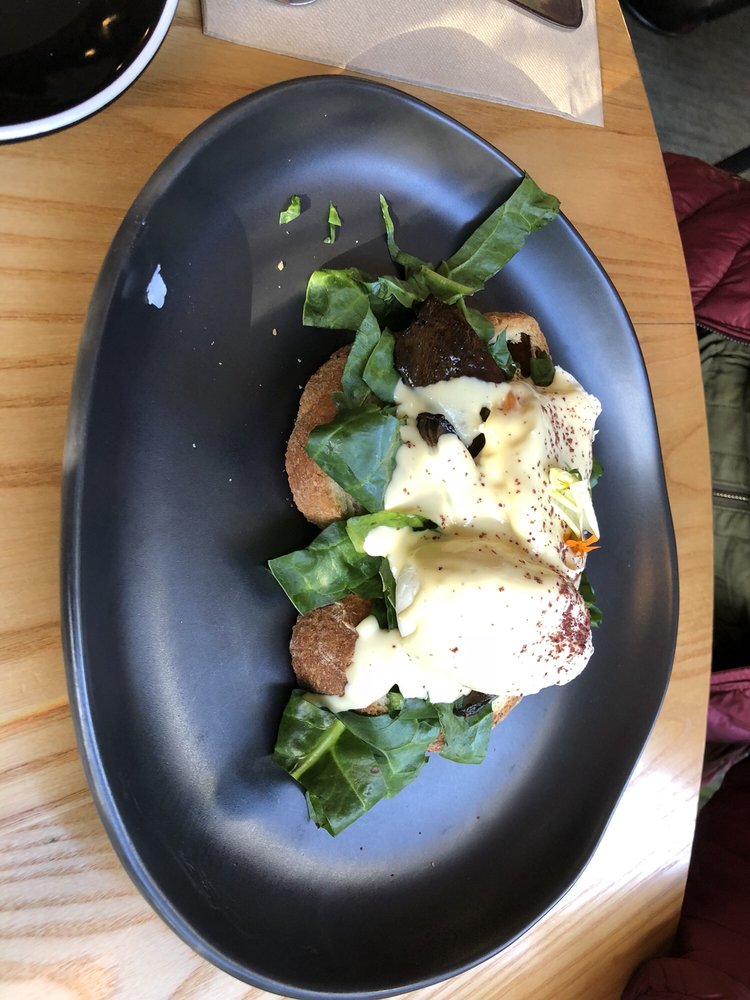 PIO PIO CAFE - 18 Photos - Milford Sound Lodge, Fiordland National Park ...