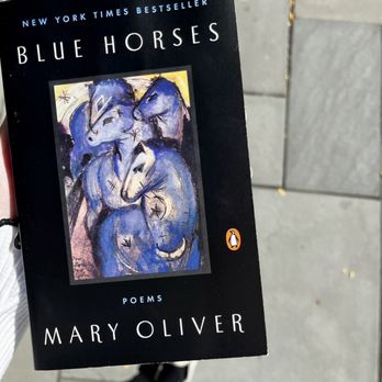 POSMAN BOOKS - Updated November 2025 - 28 Photos & 25 Reviews - 127 ...