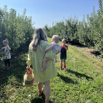 BJ REECE ORCHARDS - Updated October 2024 - 412 Photos & 179 Reviews ...